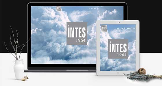 İNTES Web Sitesi | İntes